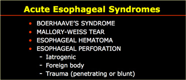 The Radiology Assistant : Esophagus II: Strictures, Acute syndromes ...